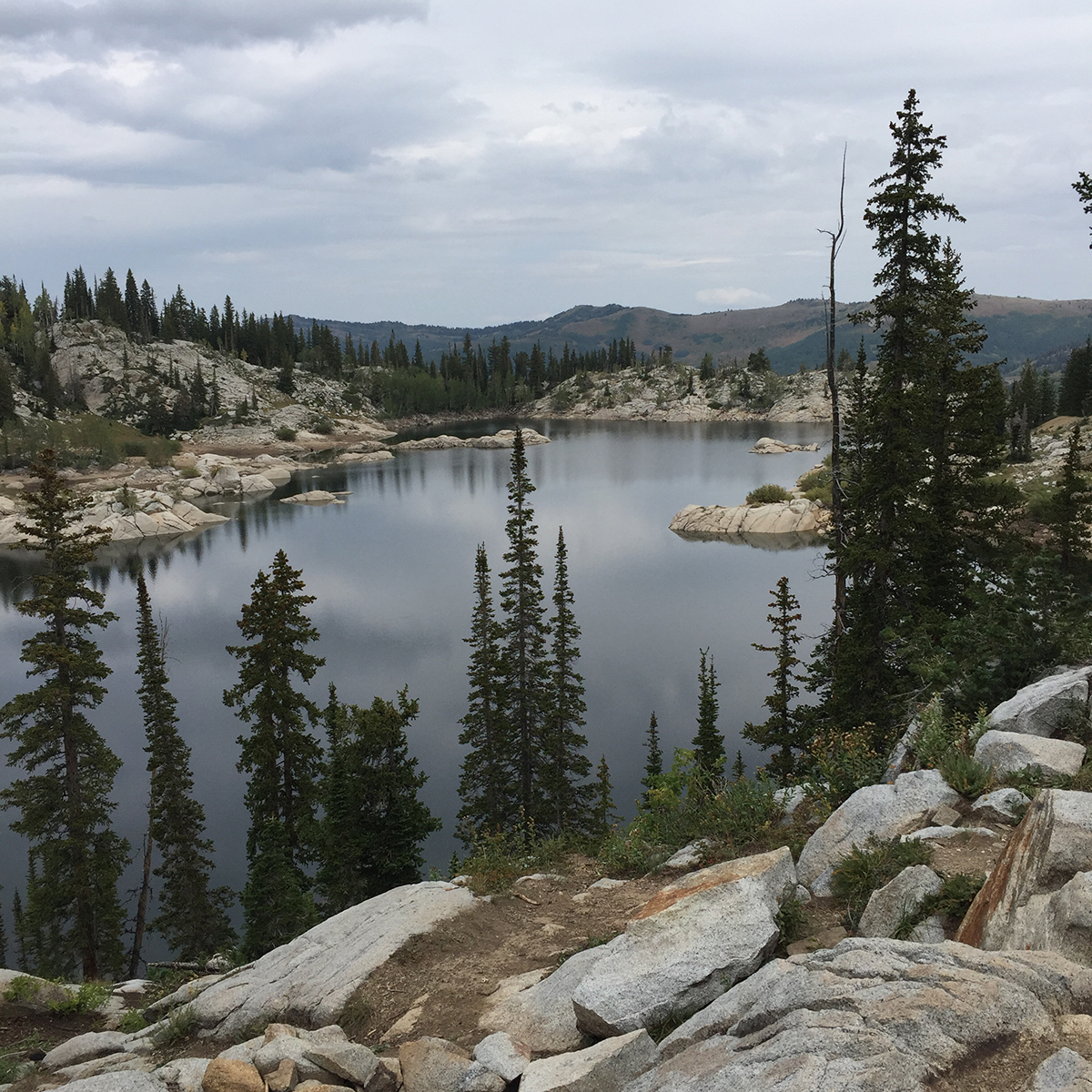 10 Summer Hikes in the Wasatch Front